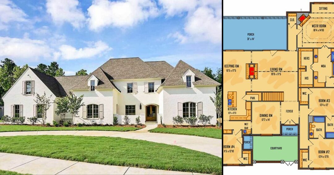 Do Wolf Spiders Eat Brown Recluse? (Read This First!)